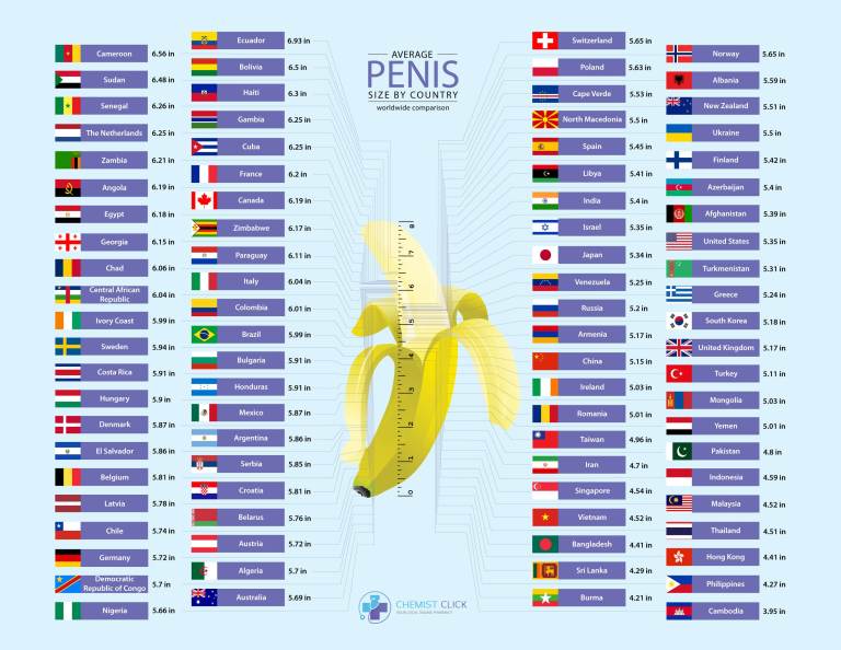 Exploring Women’s Preferences in Penile Features: Size, Circumcision ...